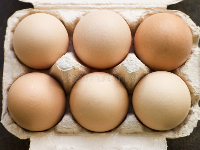 Fresh Eggs in Box stock photo. Image of colour, eggs, color - 7230094