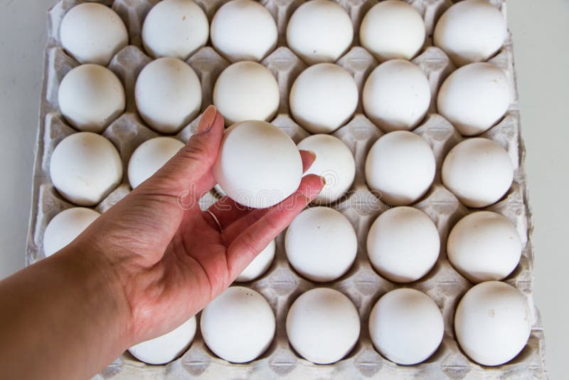 The Fresh Eggs in the Hand. Fresh Eggs on the Eggs Tray Stock Image ...