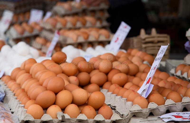 Fresh eggs stock image. Image of organic, chicken, shop - 45751099