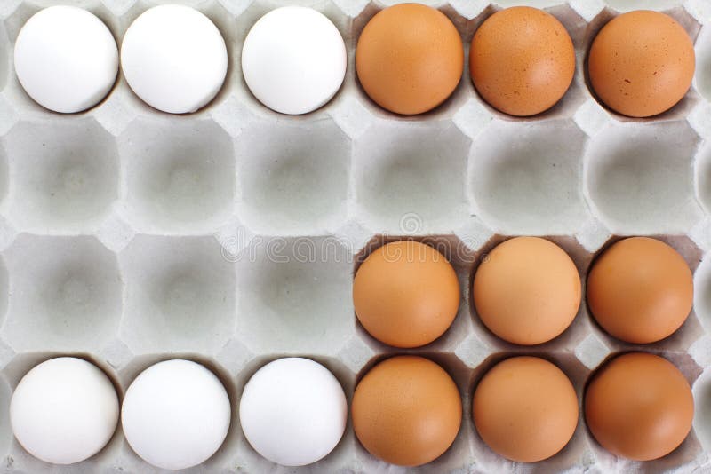 Fresh eggs stock image. Image of group, healthy, cardboard - 33388521