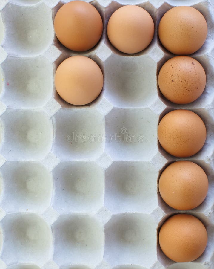 Fresh eggs stock image. Image of brown, healthy, packaging - 33501977
