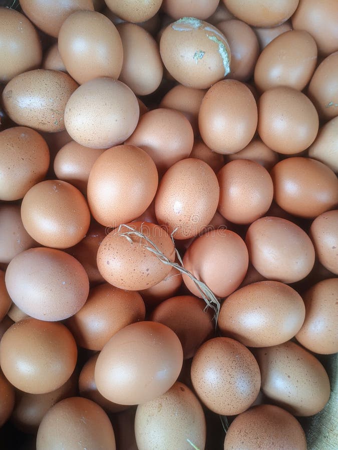 Barrel Agg Stock Photos - Free & Royalty-Free Stock Photos from Dreamstime