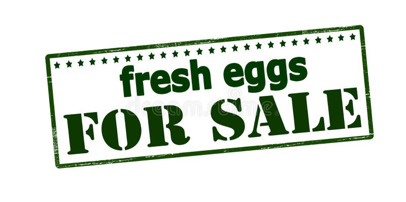 Fresh eggs for sale stock vector. Illustration of grungy - 82273403