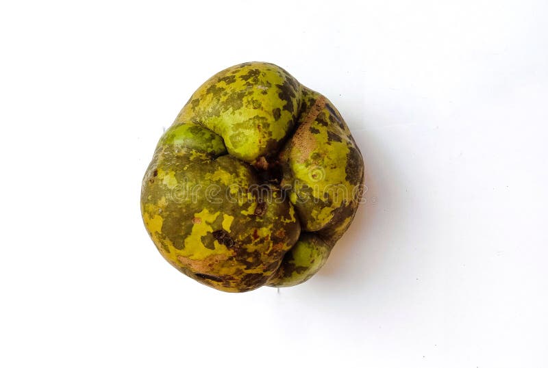 Fresh elephant apple stock image. Image of food, dish - 211155259