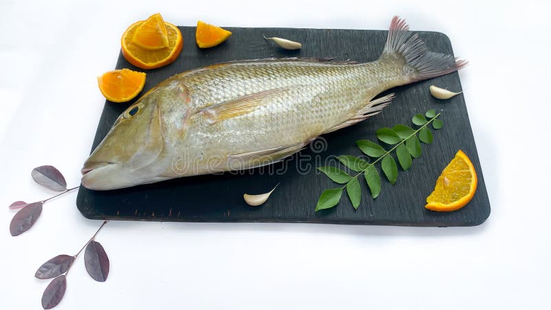 Fresh Emperor Fish Decorated with Herbs and Vegetables on a Black Pad ...