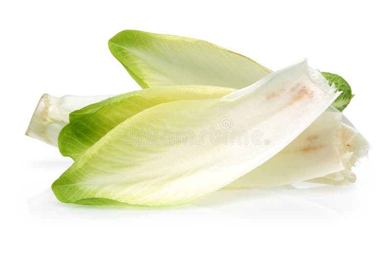 Fresh Endive on White Background Stock Image - Image of antioxidant ...