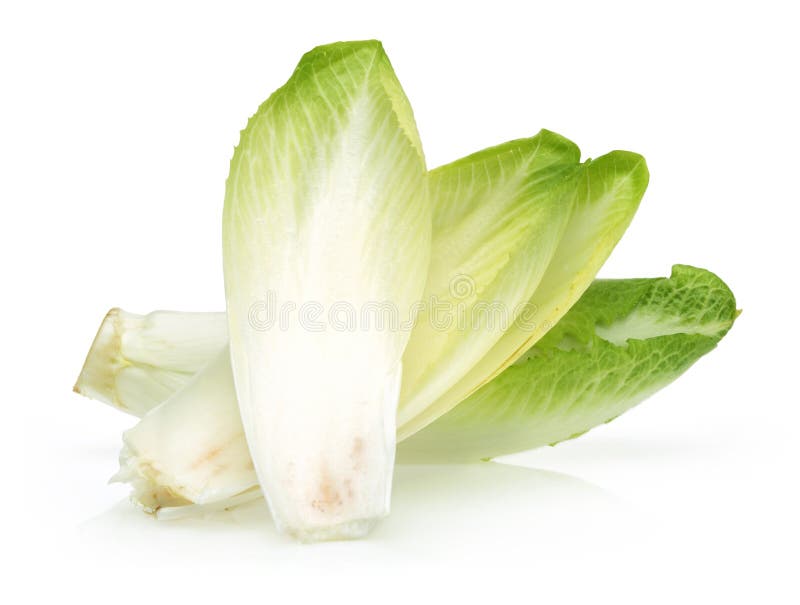 Fresh Endive on White Background Stock Image - Image of antioxidant ...