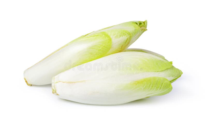Fresh Endives stock image. Image of fresh, white, healthy - 162672839