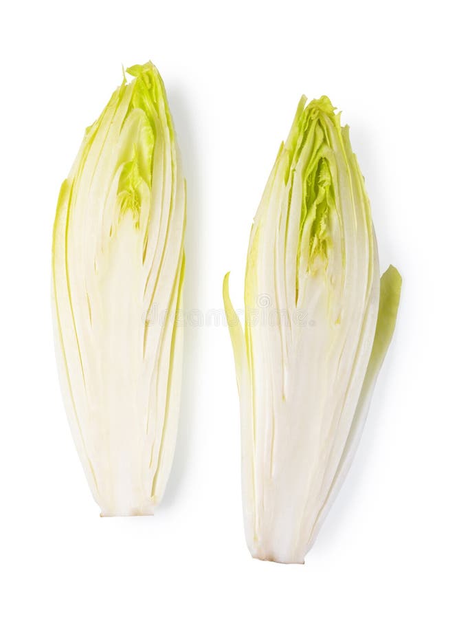 Fresh Endives stock image. Image of cichorium, ingredient - 162674143