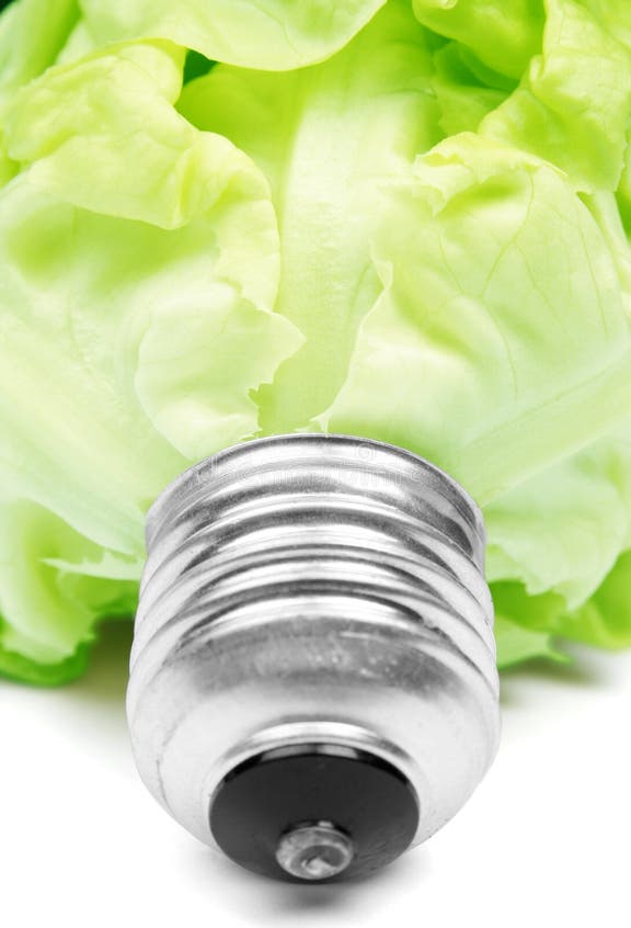 Fresh energy stock photo. Image of bulb, creative, development - 12635744