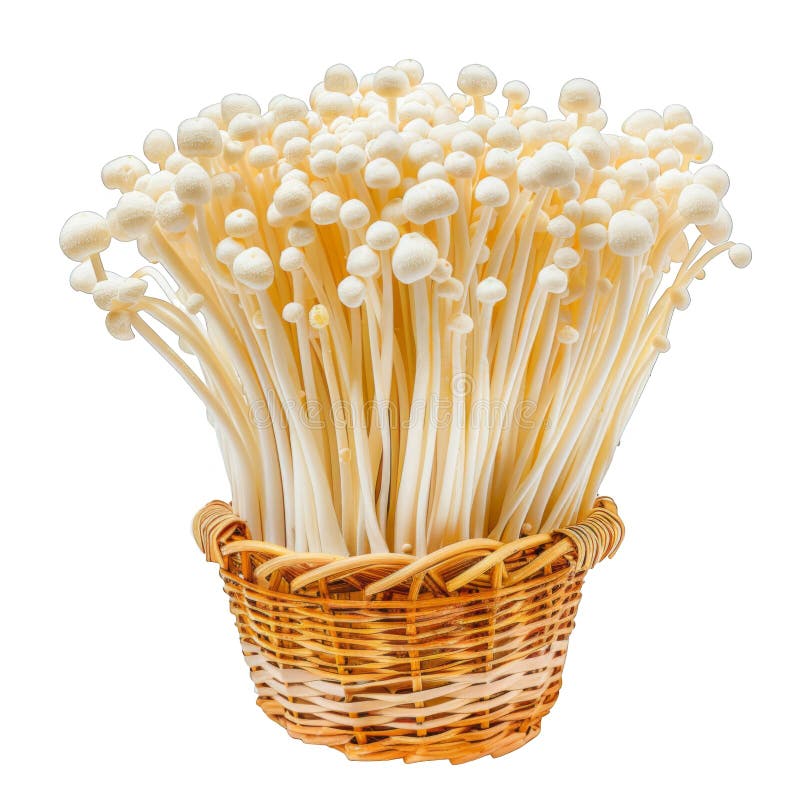 Fresh Enoki Mushrooms in a Wicker Basket Stock Photo - Illustration of ...