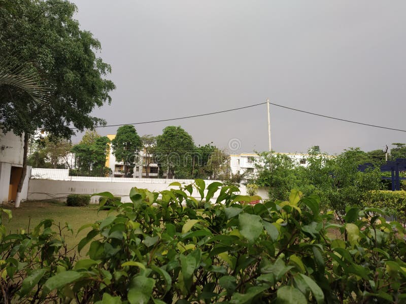 Fresh Environment stock image. Image of consumption - 167958025