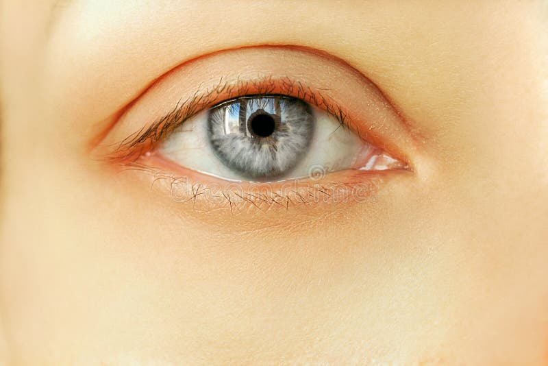 Fresh eye close-up stock image. Image of color, face - 142793609
