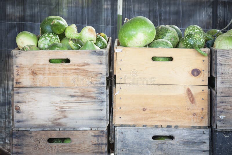 Fresh Fall Gourds and Crates in Rustic Fall Setting Stock Image - Image ...