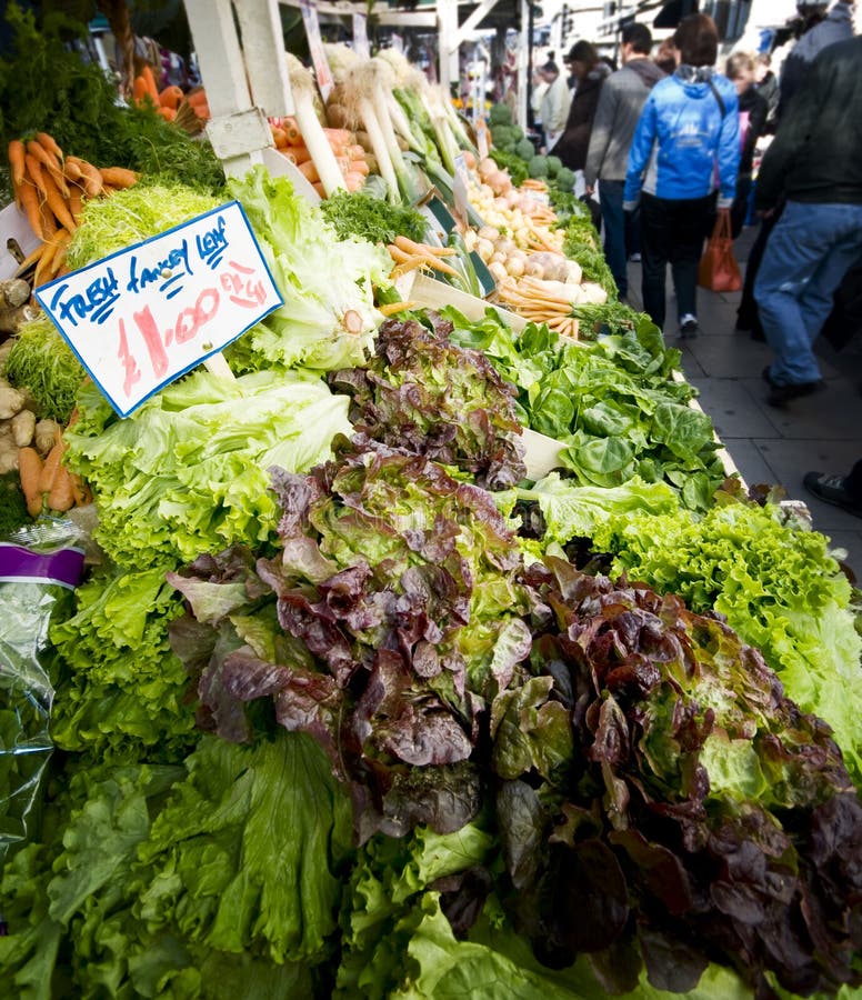 Fresh Fancy Leaf. stock photo. Image of groceries, focus - 11743658