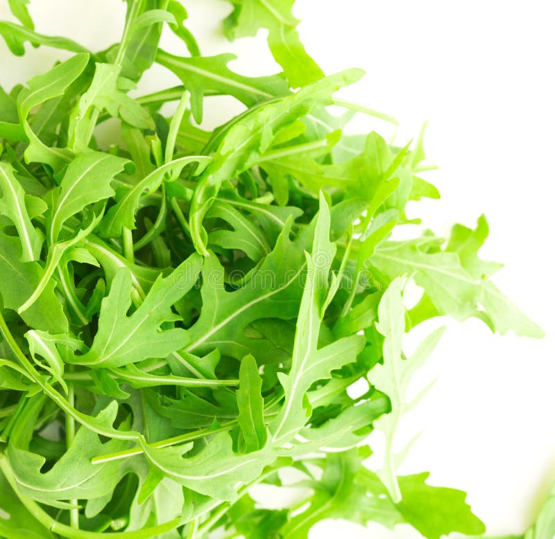 Fresh Farm Arugula on a White Background Stock Photo - Image of eruca ...