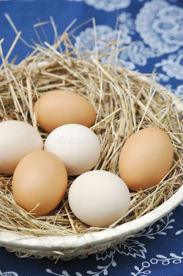 Fresh farm eggs stock photo. Image of group, freshness - 13314568