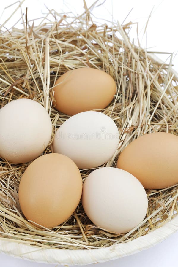 Fresh Eggs stock image. Image of food, chickens, market - 16170745