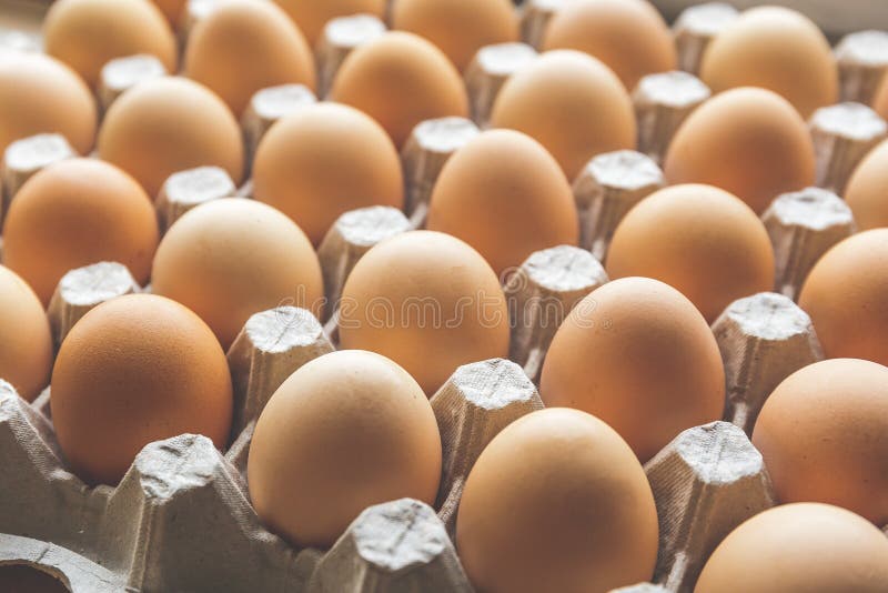 Fresh farm eggs in egg box stock image. Image of life - 93066881