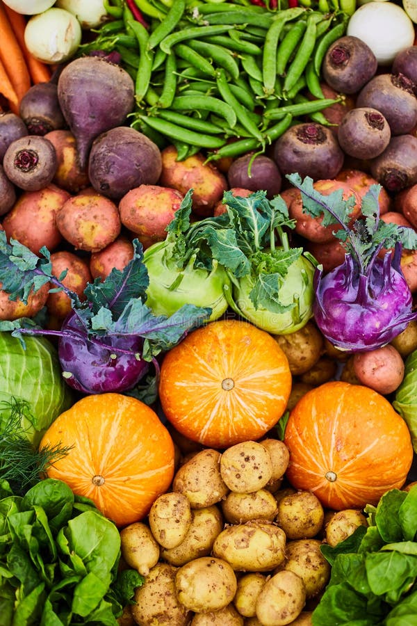 Fresh Farm Vegetables Close Up. Autumn Harvest Stock Image - Image of ...