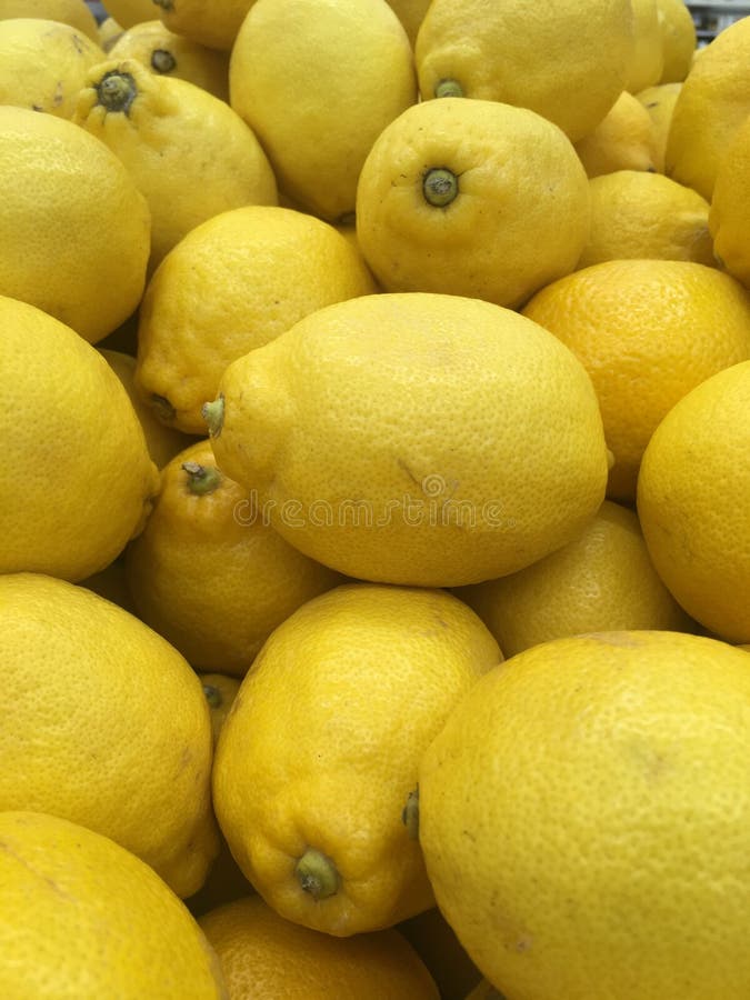 Fresh lemons stock photo. Image of fresh, hanging, citrus - 159714874