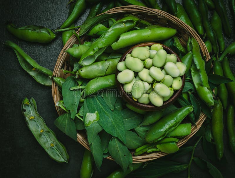 Fresh fava beans stock photo. Image of french, fava - 390154272