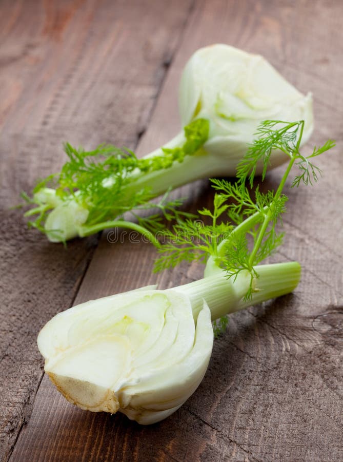 Fresh fennel stock image. Image of food, leaf, bulb, fresh - 17431589