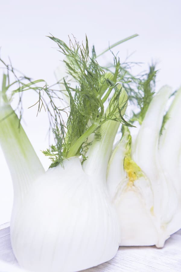 Anise Bulb Watercolor Stock Photos - Free & Royalty-Free Stock Photos ...