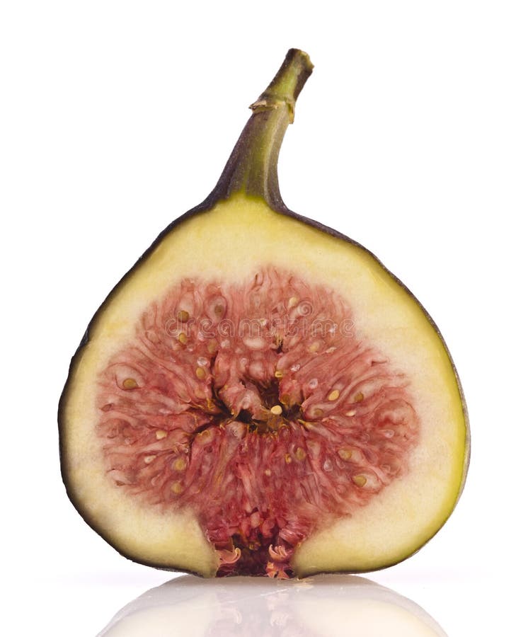 Half a fig stock image. Image of brown, purple, white, syrup - 32129