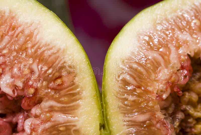 Fresh Fig Picture. Image: 6264006