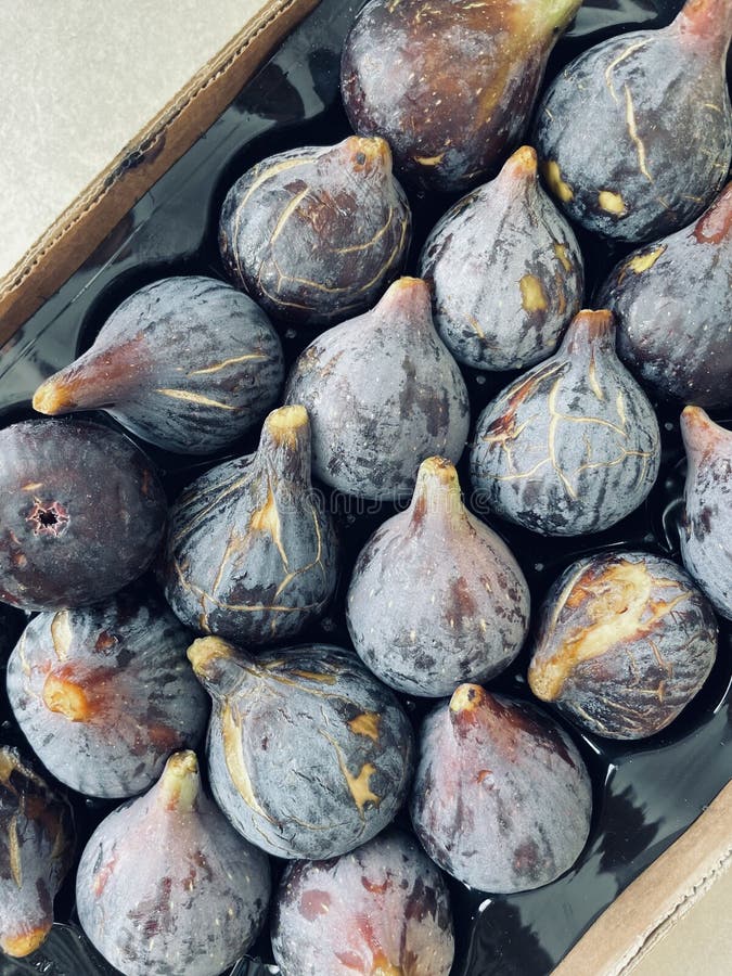 Fresh Fig Fruits in a Box Close-up Stock Photo - Image of produce, crop ...