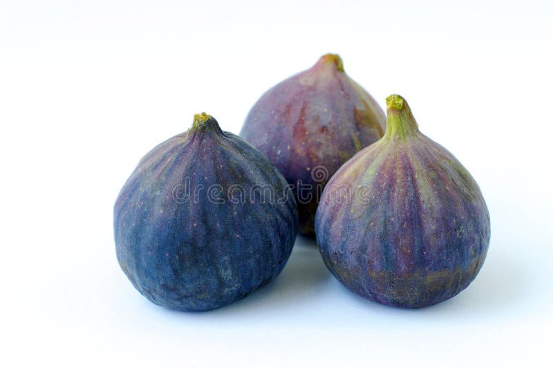 Single fig stock photo. Image of syrup, green, mediterranean - 37200