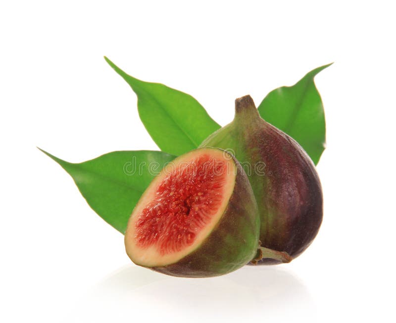 Fresh figs stock image. Image of juicy, purple, leaf - 22511693