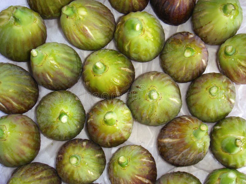 Fresh figs in a box stock image. Image of close, natural - 149804359