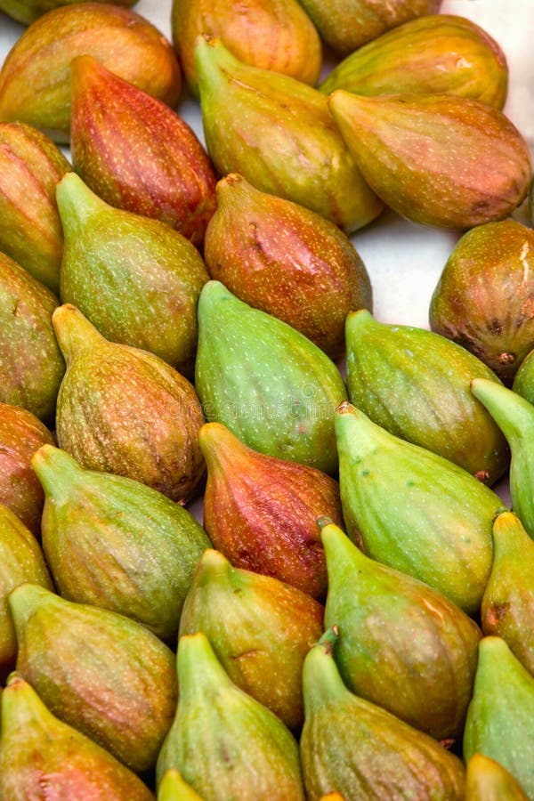 Lots of Fresh Cocoa Pods in a Cocoa Factory Stock Image - Image of ...