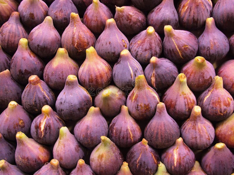Fresh Figs on Display in Borough Market London Editorial Stock Photo ...