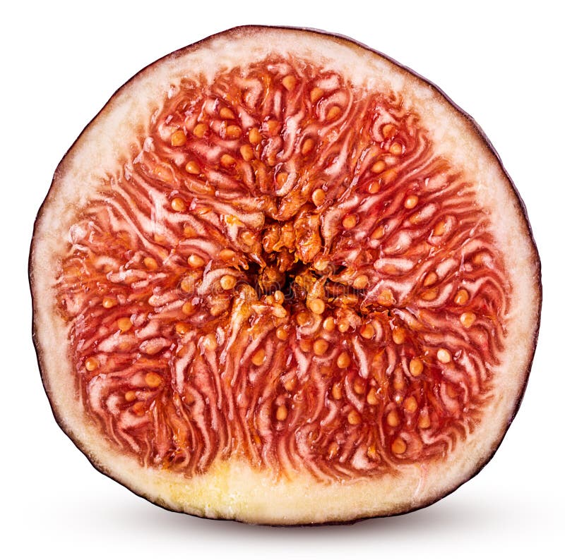 Fresh Kiwi Fruit Cut in Half Stock Photo - Image of piece, single ...