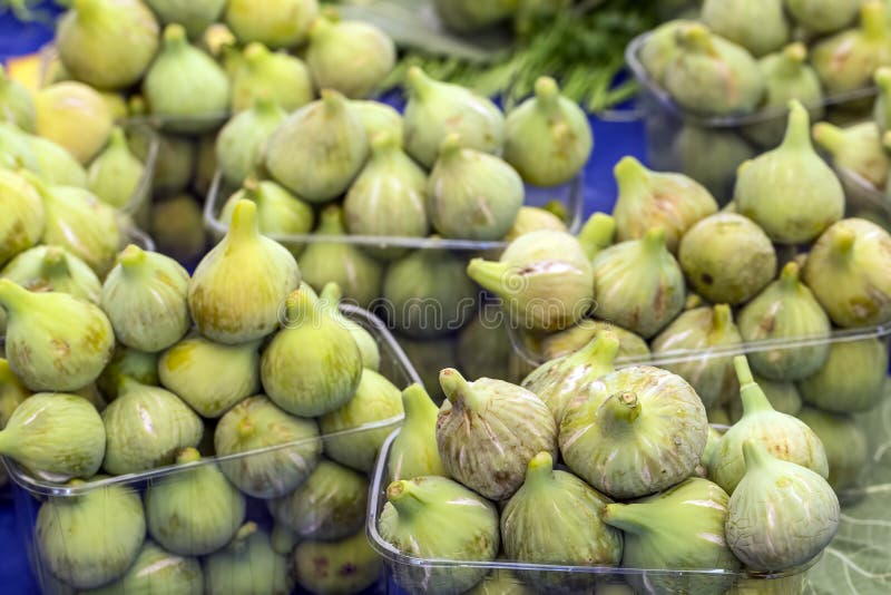 Fresh Figs Healthy Fruit in Turkey Market Stock Photo - Image of ...