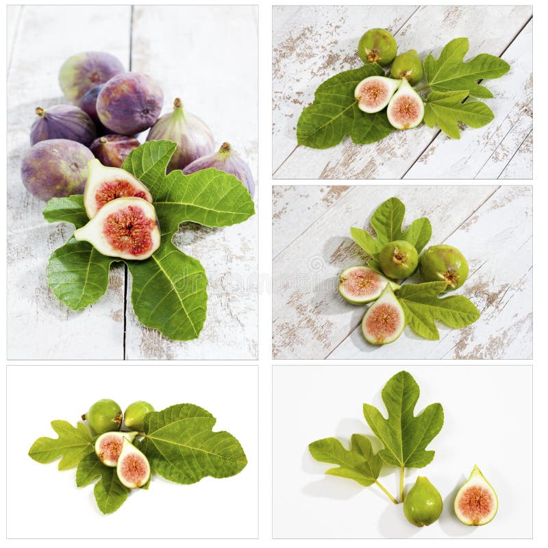 Fresh Figs with Leaves, Collage Stock Photo - Image of cross, fruits ...