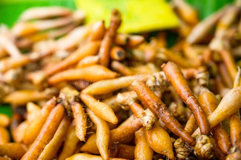 Fresh fingerroot on stall stock image. Image of head - 290574395