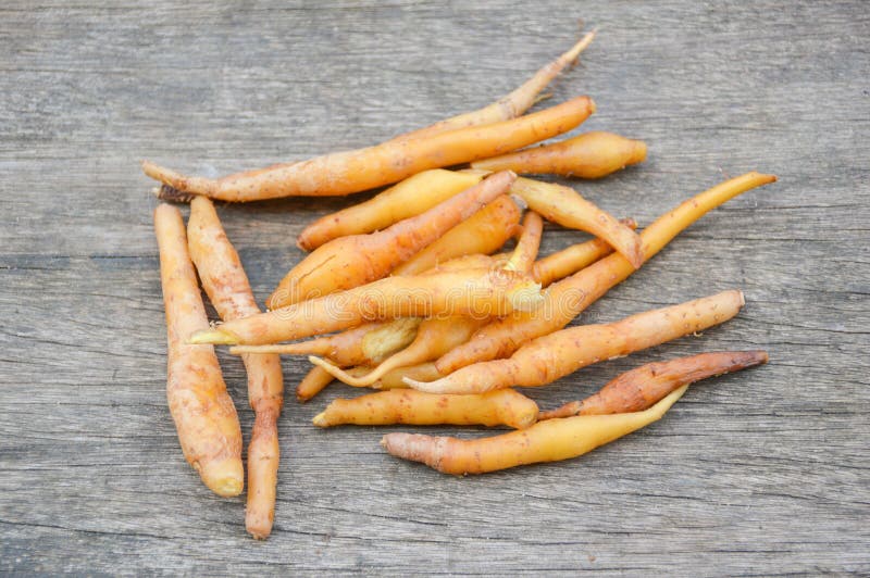 Fresh Fingerroot on Wood Plank Stock Photo - Image of close, plank ...