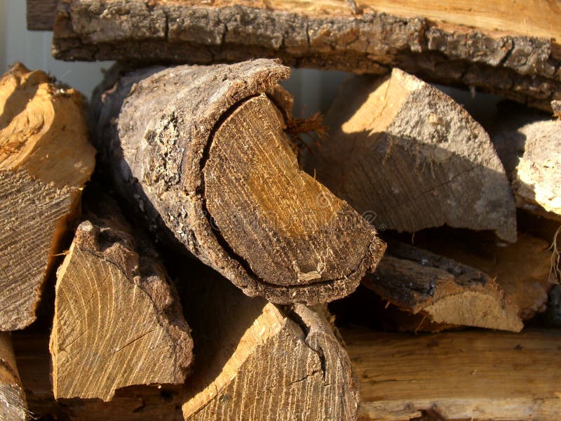 Fresh Firewood Chopped from Large Stock Image - Image of woodpile ...