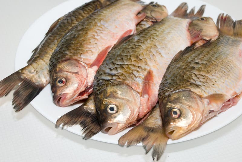 Fresh fish stock image. Image of cook, diet, delicious - 10153049