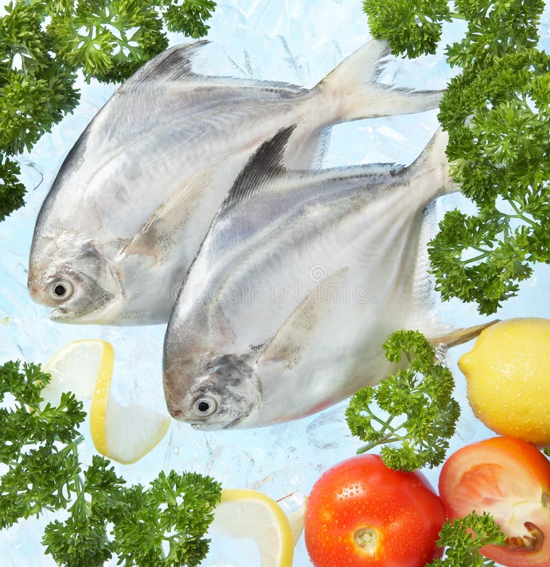 Fresh fish stock image. Image of seafood, fresh, lemon - 10351927