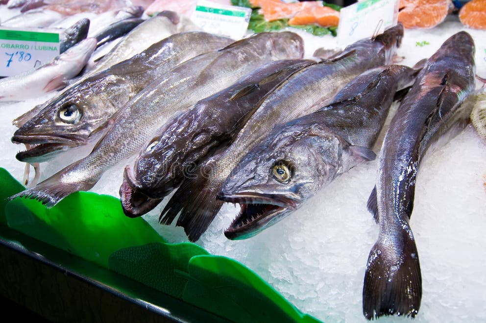 Fresh fish stock photo. Image of fishy, seafood, head - 12144716