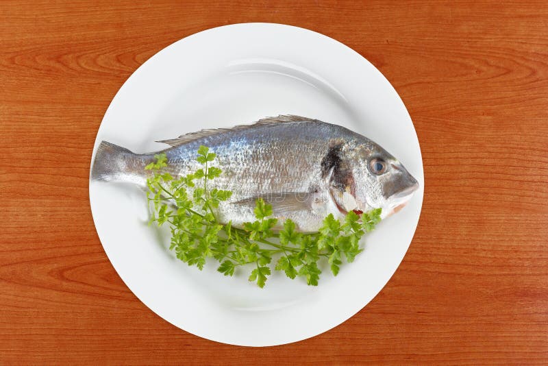 Frozen Shad Fish on the Plate Isolated Stock Image - Image of fish ...