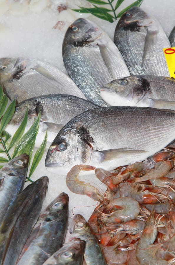 Fresh fish stock photo. Image of fresh, gastronomy, cold - 18376486