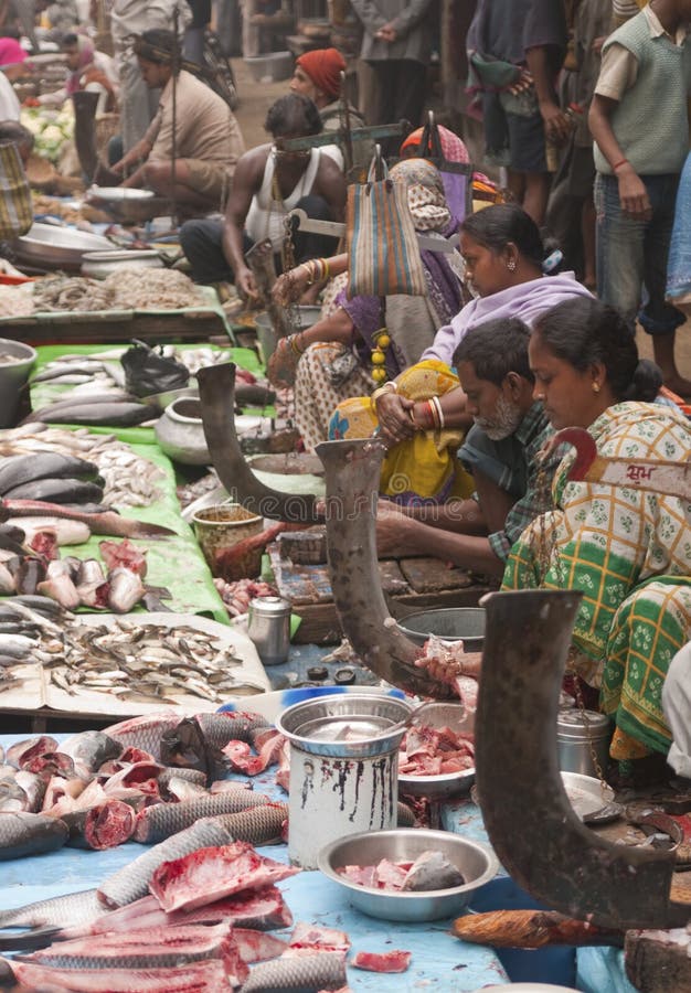 Indian Fish Market editorial photo. Image of travel, fish - 7574901