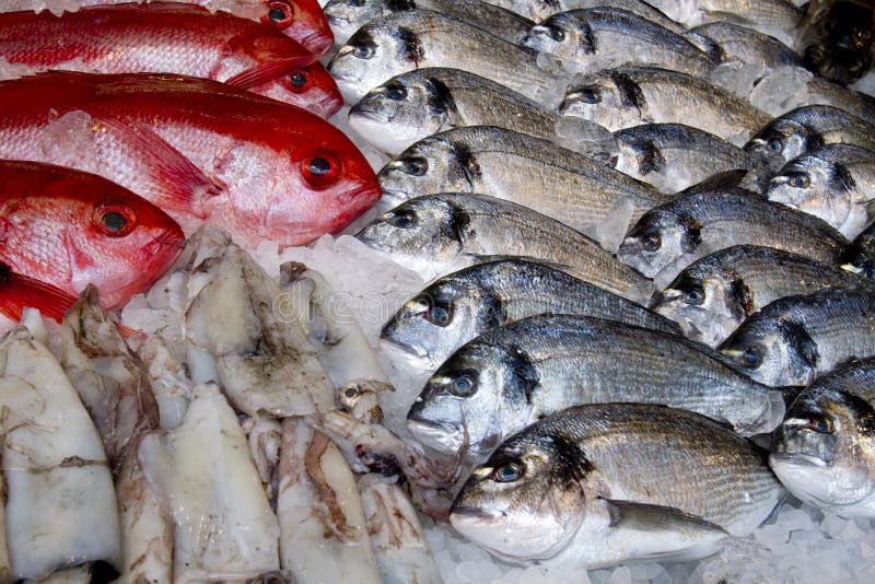Fresh fish stock photo. Image of fresh, gastronomy, cold - 18376486