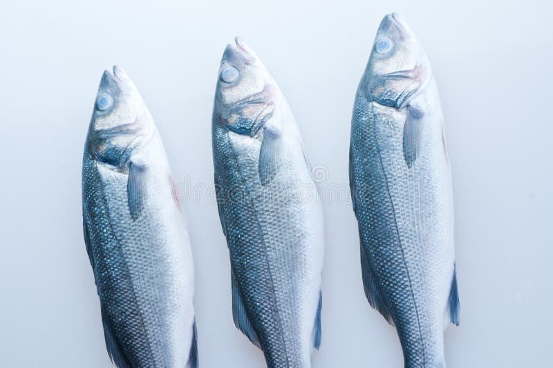 Fresh fish stock photo. Image of kitchen, diet, catch - 18407508